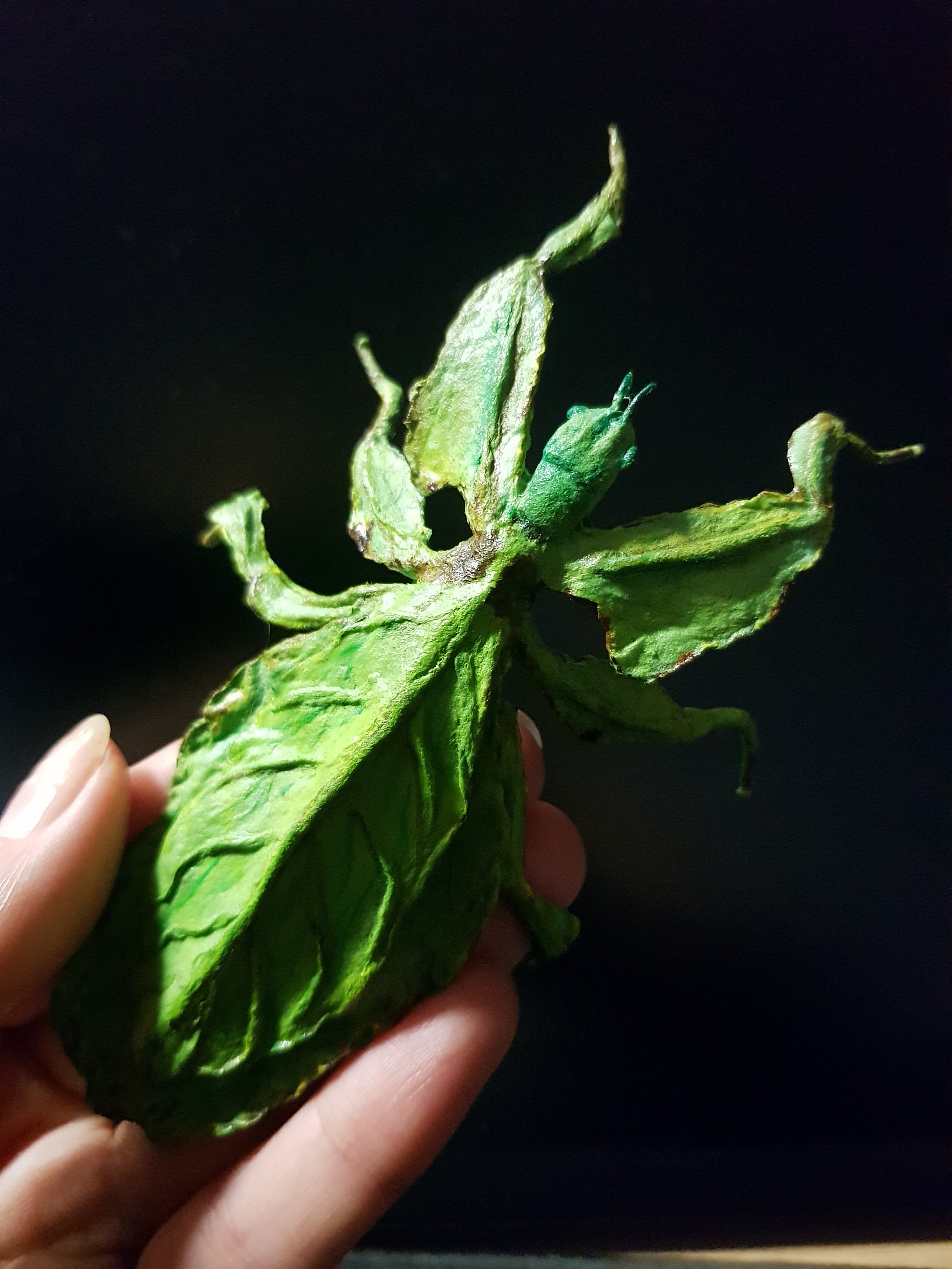 Leaf Insect Figurine Realistic Bug Sculpture Arthropod - Etsy UK