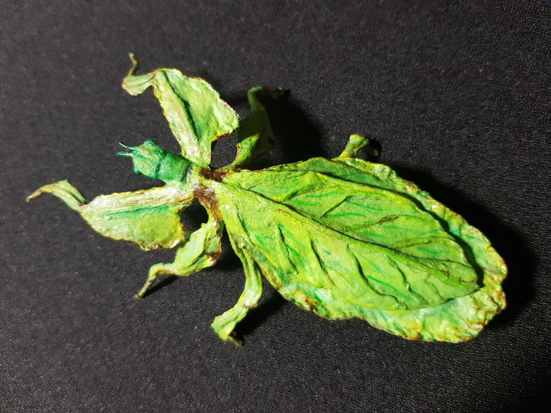 Leaf Insect Figurine, Realistic Bug Sculpture, Arthropod Cabinet ...