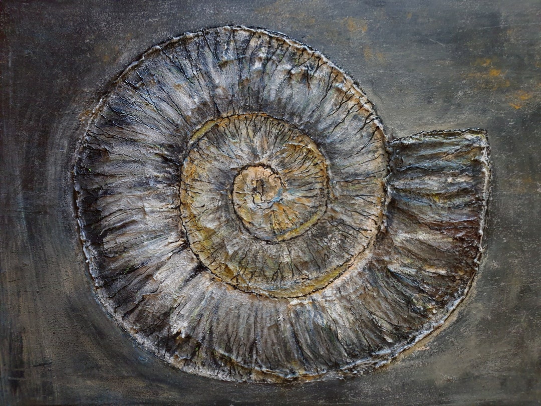 Textured Ammonite Fossil Wall Art, Dark Interior Bar, Living Room ...