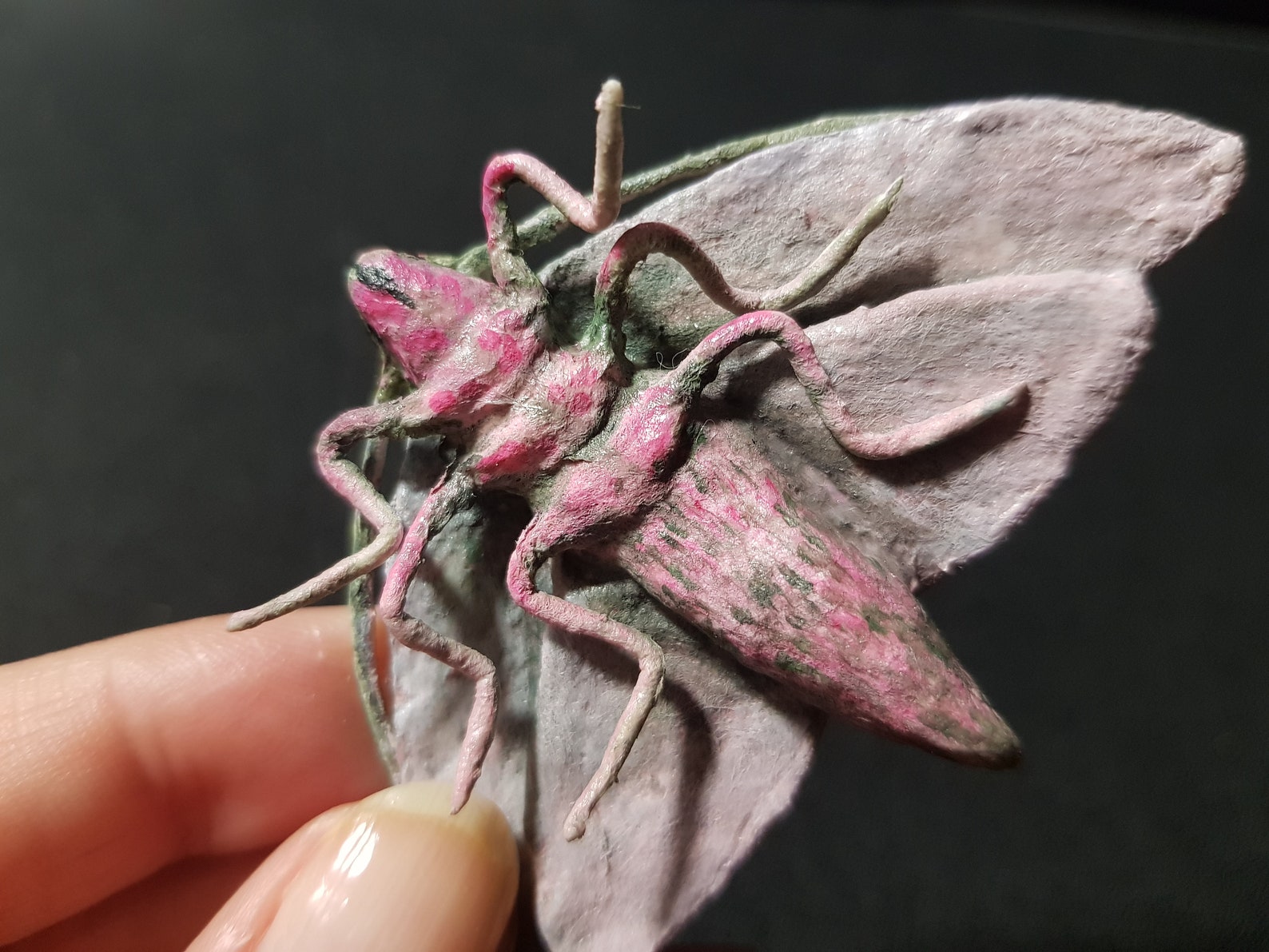 Moth Ornament Elephant Hawk Fake Taxidermy Butterfly - Etsy