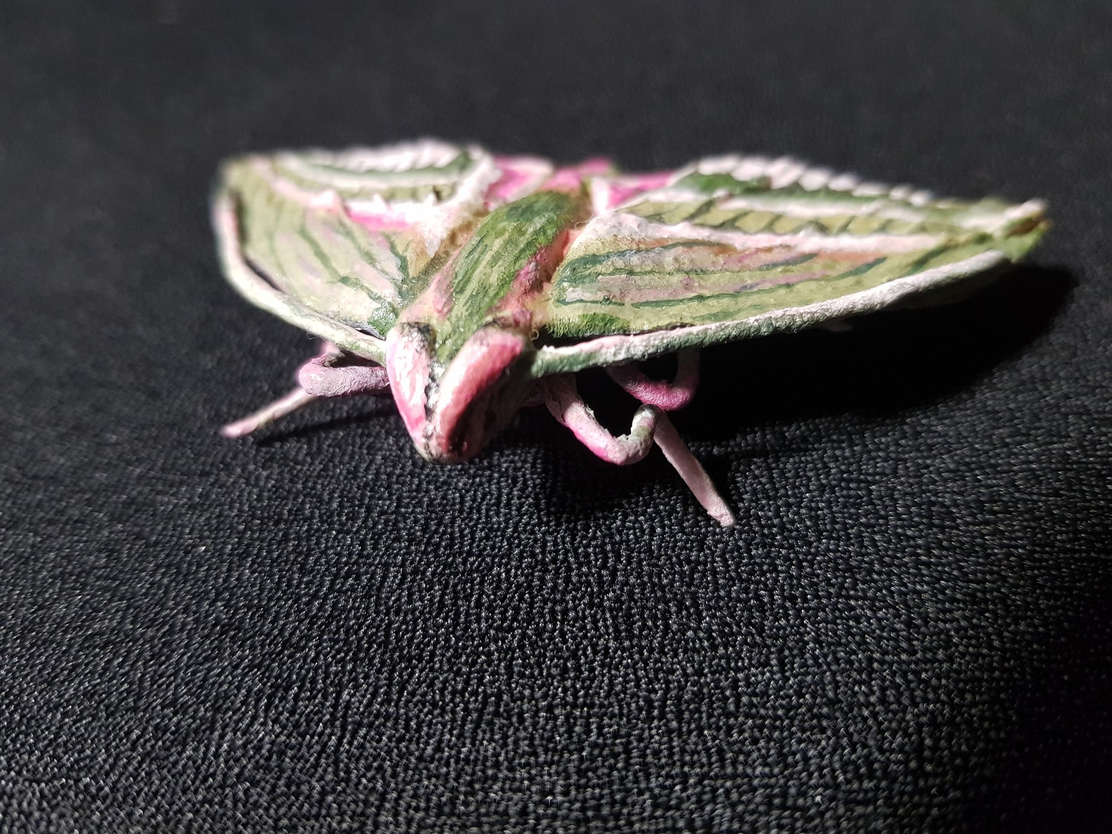 Moth Ornament Elephant Hawk Fake Taxidermy Butterfly - Etsy