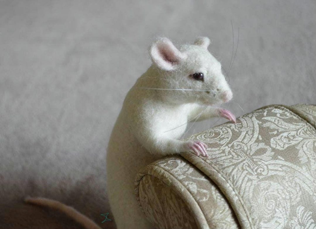 White Realistic Needle Felt Rat Sculpture, Art Doll Animal, Science or ...