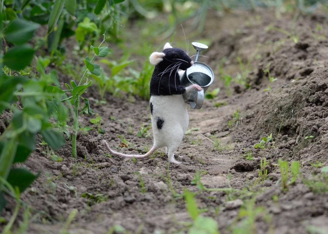 Realistic Rat Model Anatomical Art Doll Felt Animal - Etsy