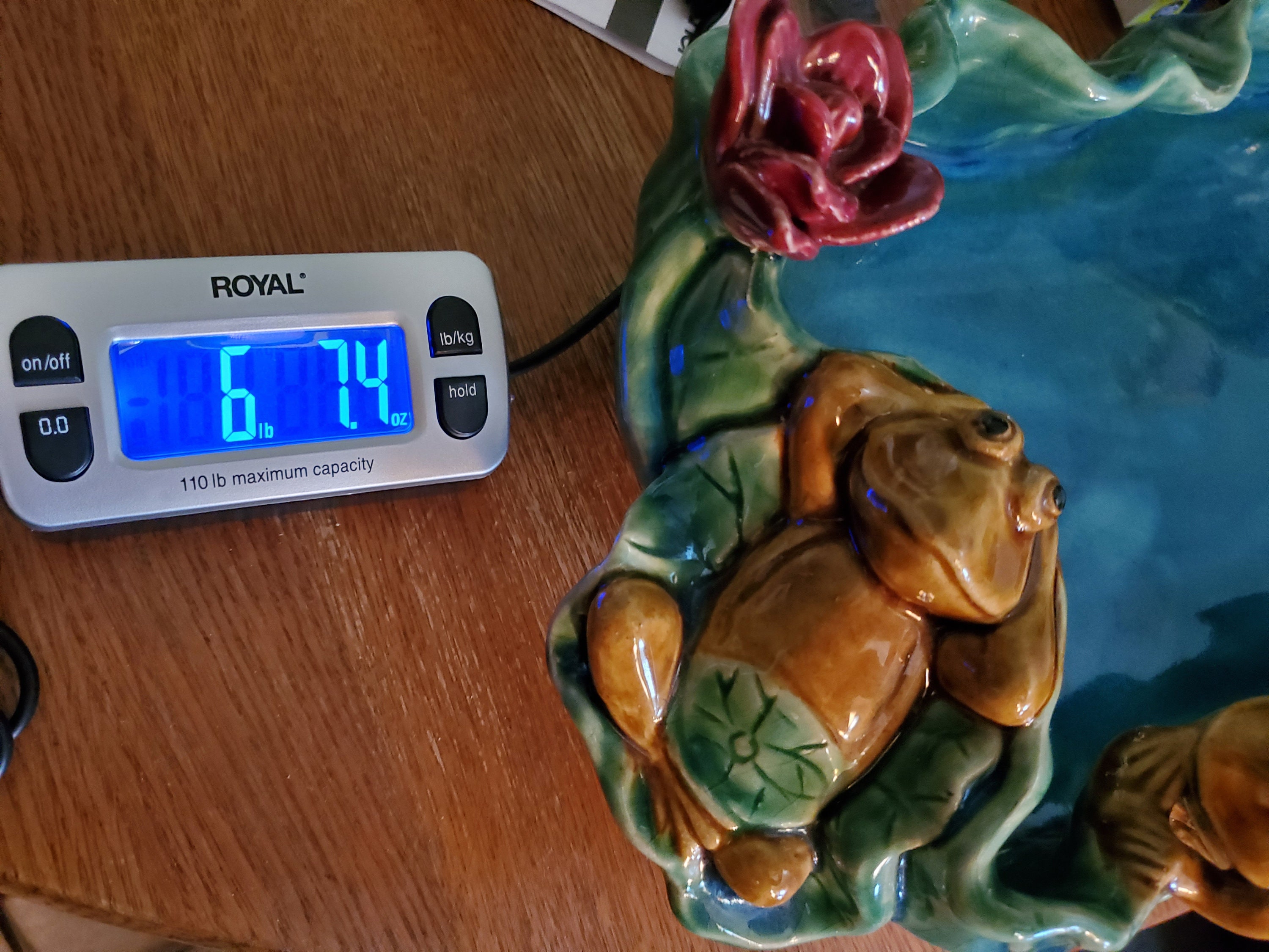 Majolica Frog Pond - Etsy