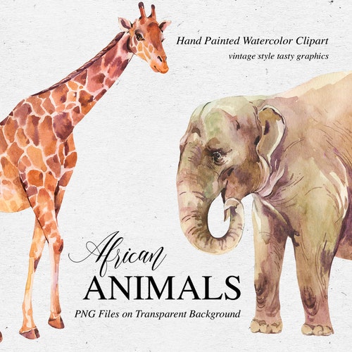 Africa Animals Clipart Safari Giraffe Tiger Lion Elephant - Etsy