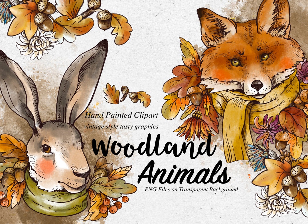 Woodland Animals Fall Clipart Baby Animal Autumn Clipart - Etsy