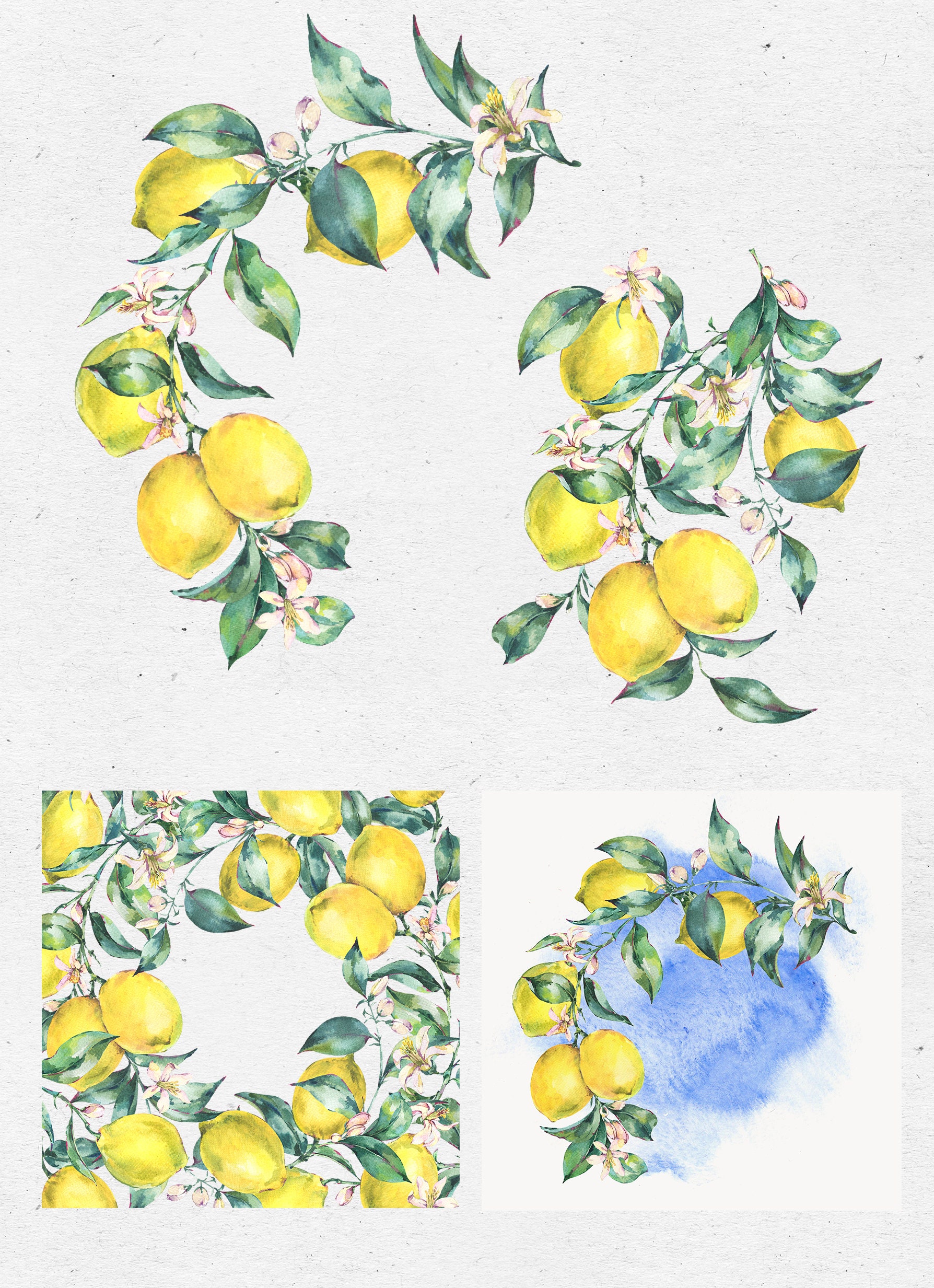 Lemon Frame Clipart Watercolor Summer Fruit Clipart | Etsy
