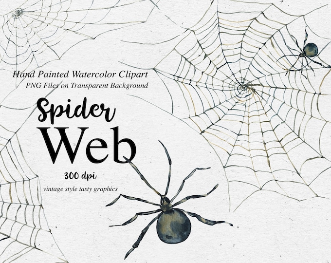 Watercolor Realistic Spiderweb Clipart Silhouette Spooky Spider ...