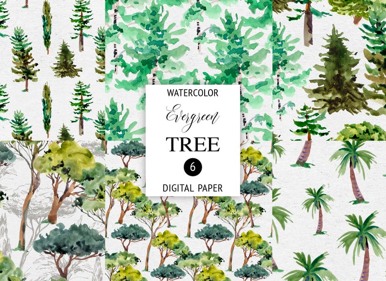 Fir Evergreen Tree Digital Paper Forest Landscape Digital Paper Pack ...