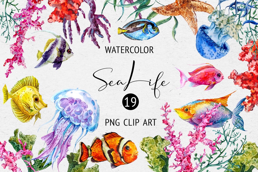 Underwater Clip Art Watercolor Sea Life Clipart Watercolor Fish Clipart ...