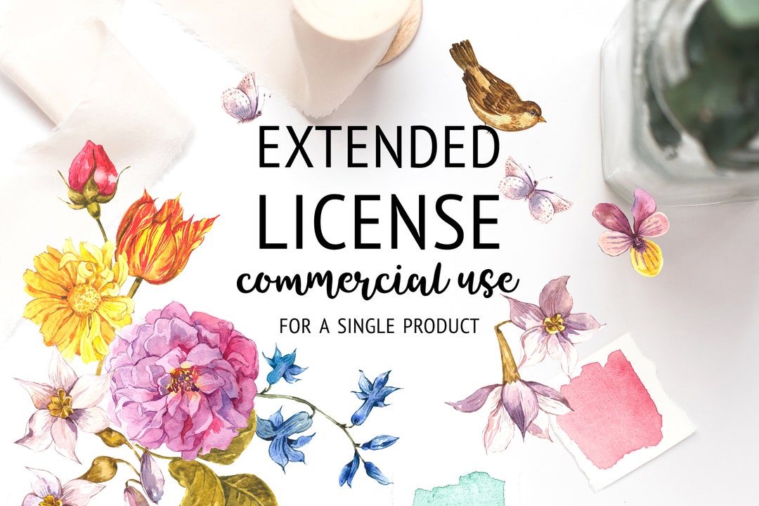 Extended License for Commercial Use for a Single Product up to 300.000 ...