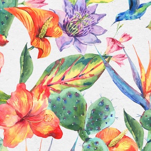 Flamingo Clip Art Summer Digital Paper Summer Clipart - Etsy