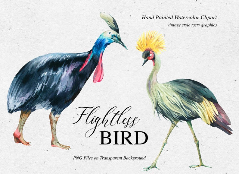 Flightless bird clipart. Watercolor Crowned crane clipart | Etsy