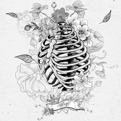 Ribs With Flowers Floral Skeleton Rib Cage Hipster Clipart - Etsy
