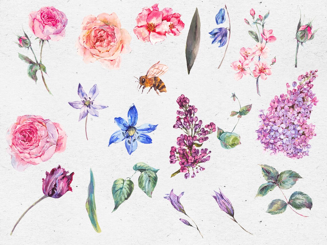 Floral Watercolor Spring Clipart Spring Flowers Individual - Etsy