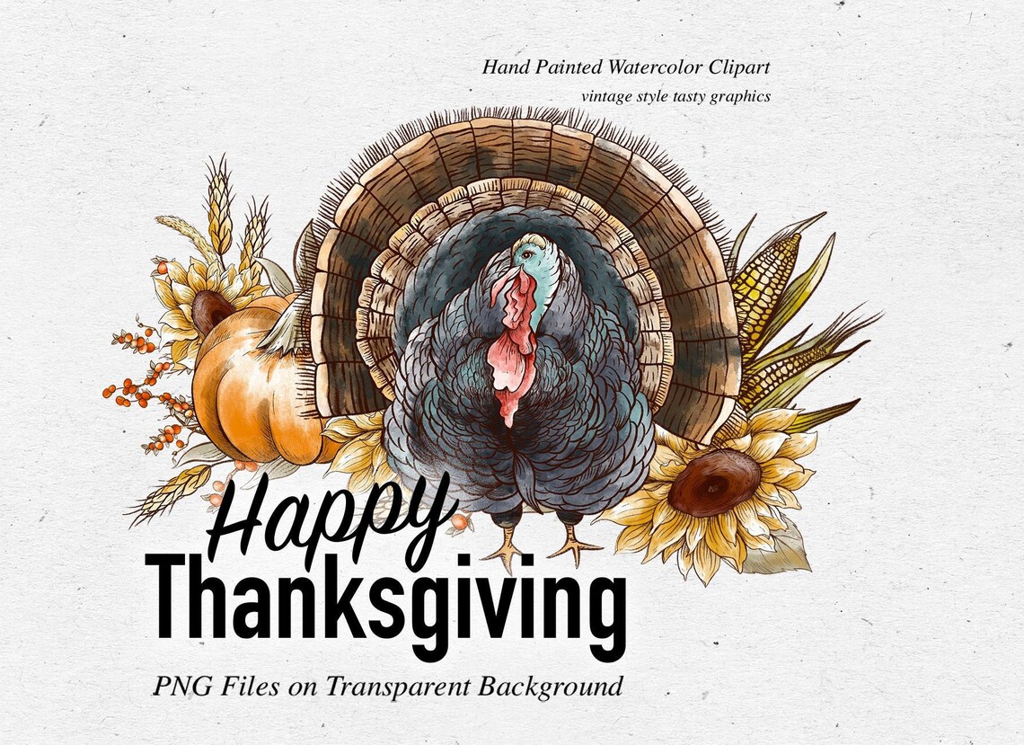 Thanksgiving Clipart Pumpkin Clipart Turkey Clipart | Etsy