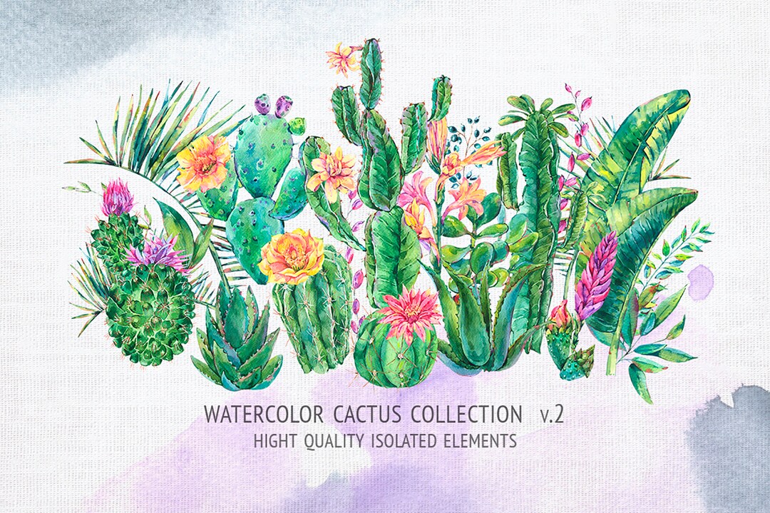 Succulent Clipart Watercolor Flowers and Leaves Individual - Etsy
