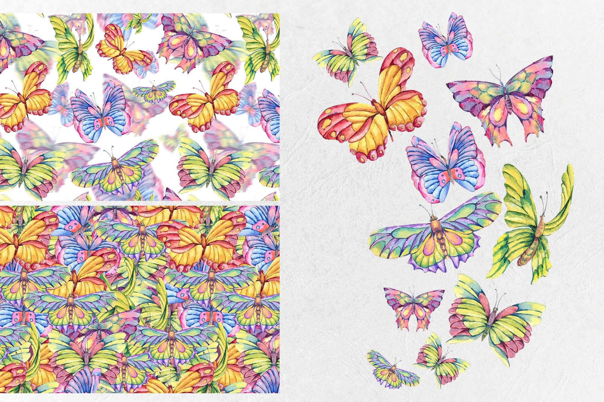 Colorful Butterflies Clipart. Watercolor Butterfly Digital - Etsy