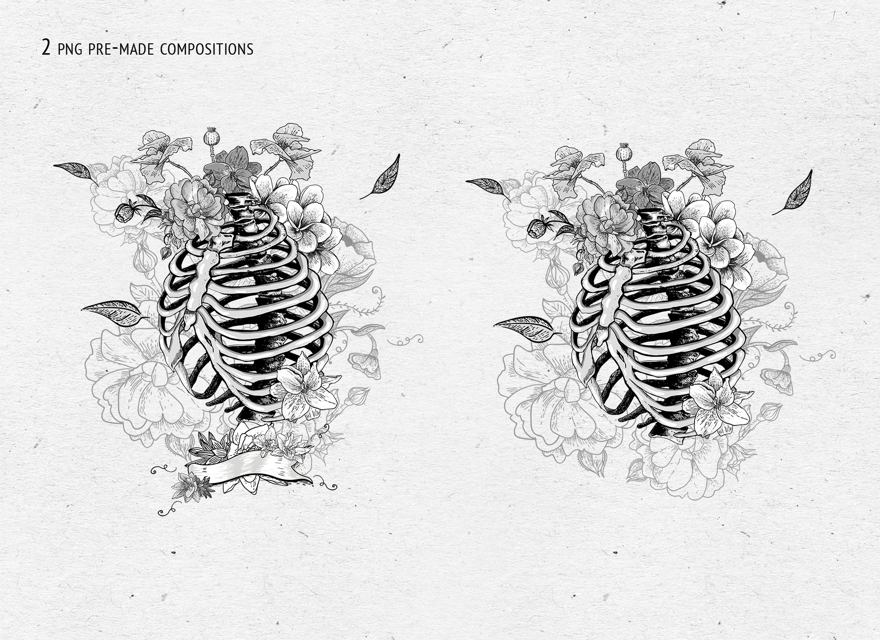 Ribs With Flowers Floral Skeleton Rib Cage Hipster Clipart - Etsy