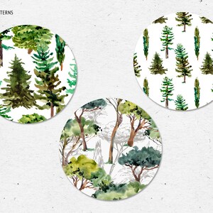 Fir Evergreen Tree Digital Paper Forest Landscape Digital Paper Pack ...
