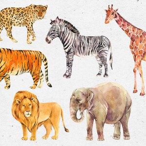 African Animals Clipart. Watercolor Elephant Clipart, Zebra, Giraffe ...