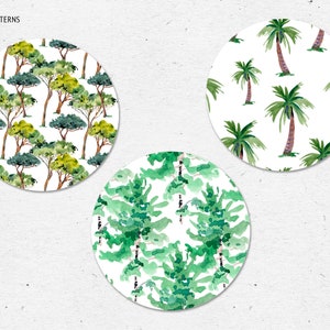 Fir Evergreen Tree Digital Paper Forest Landscape Digital Paper Pack ...