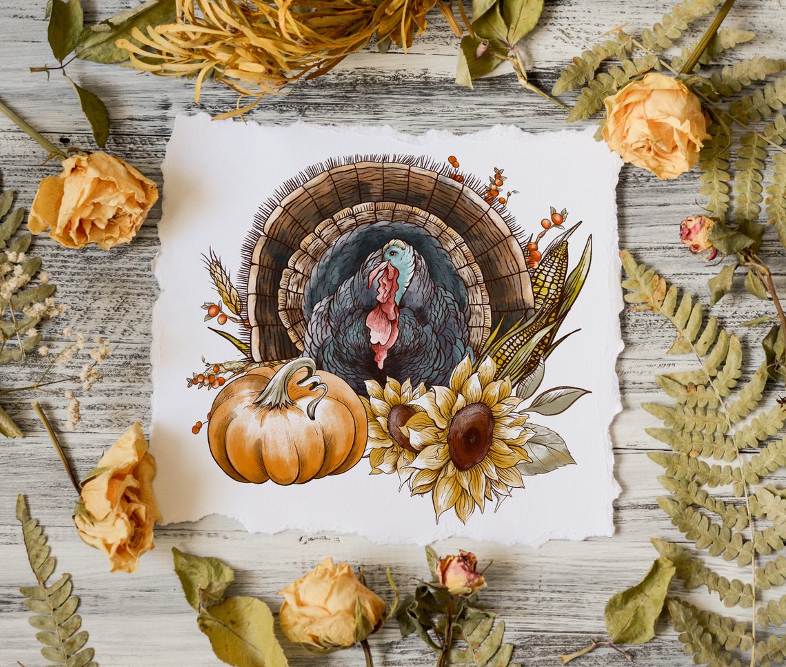 Thanksgiving Clipart Pumpkin Clipart Turkey Clipart | Etsy