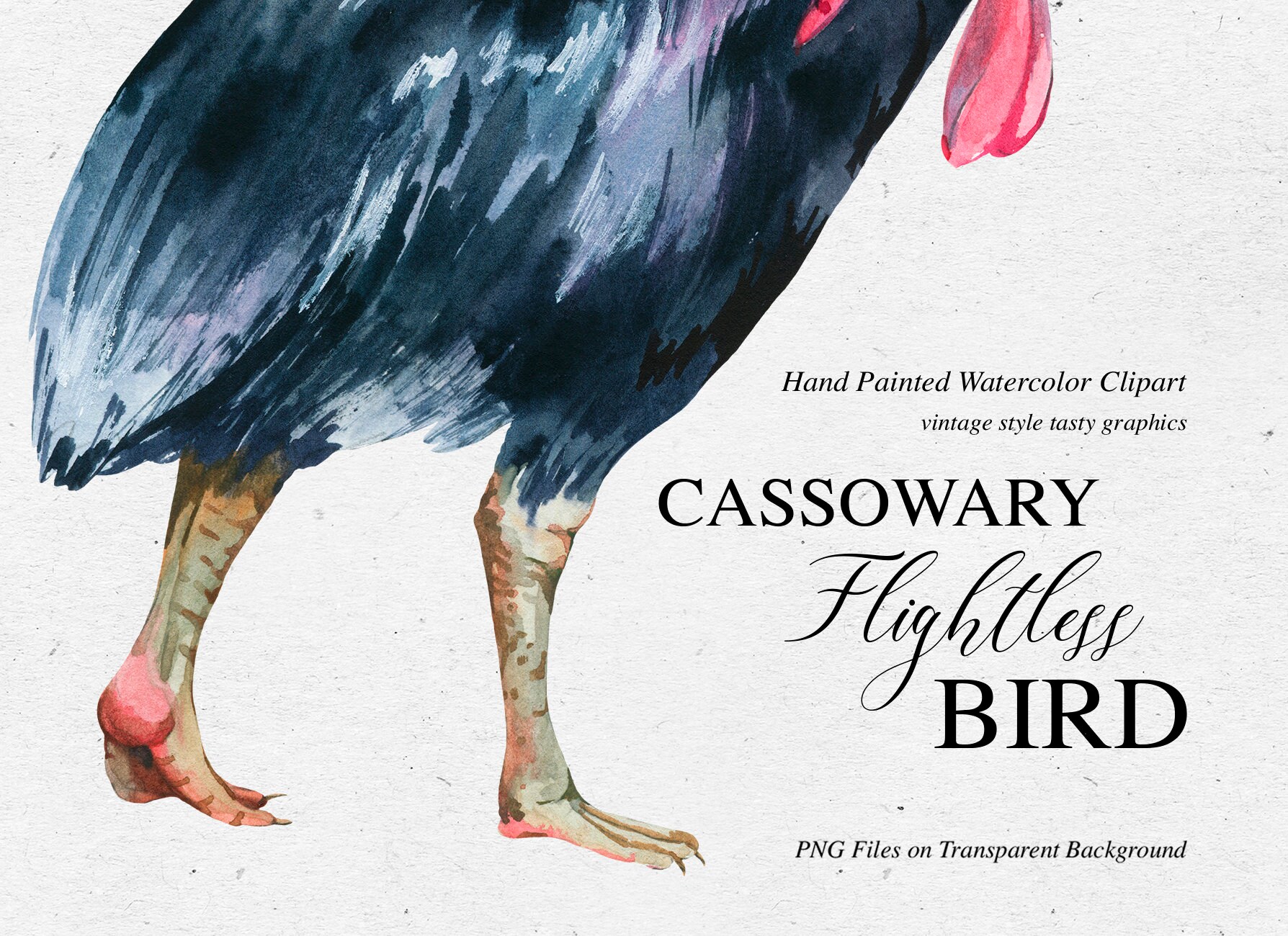 Flightless bird clipart. Watercolor Crowned crane clipart | Etsy