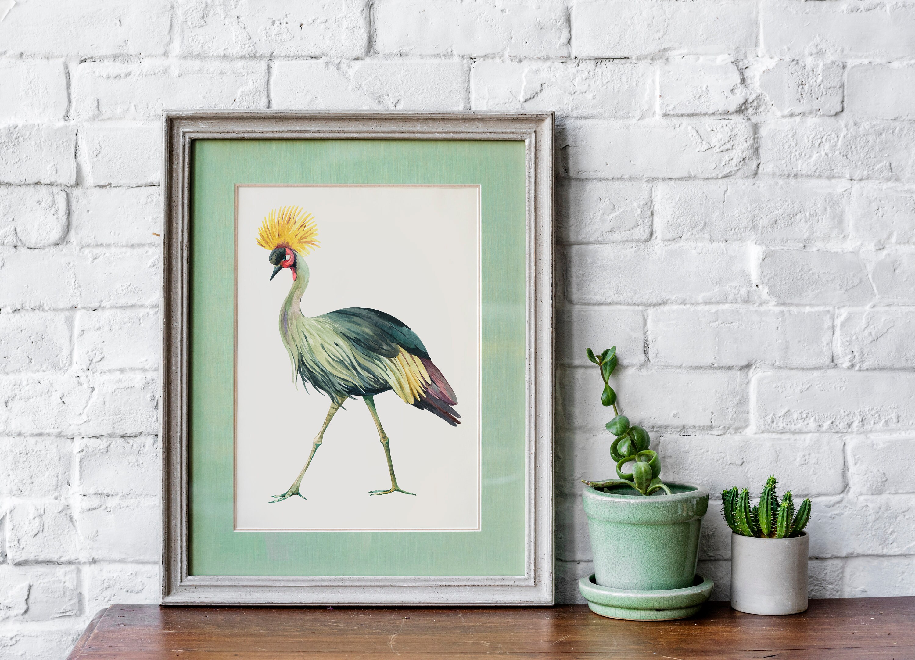 Flightless bird clipart. Watercolor Crowned crane clipart | Etsy