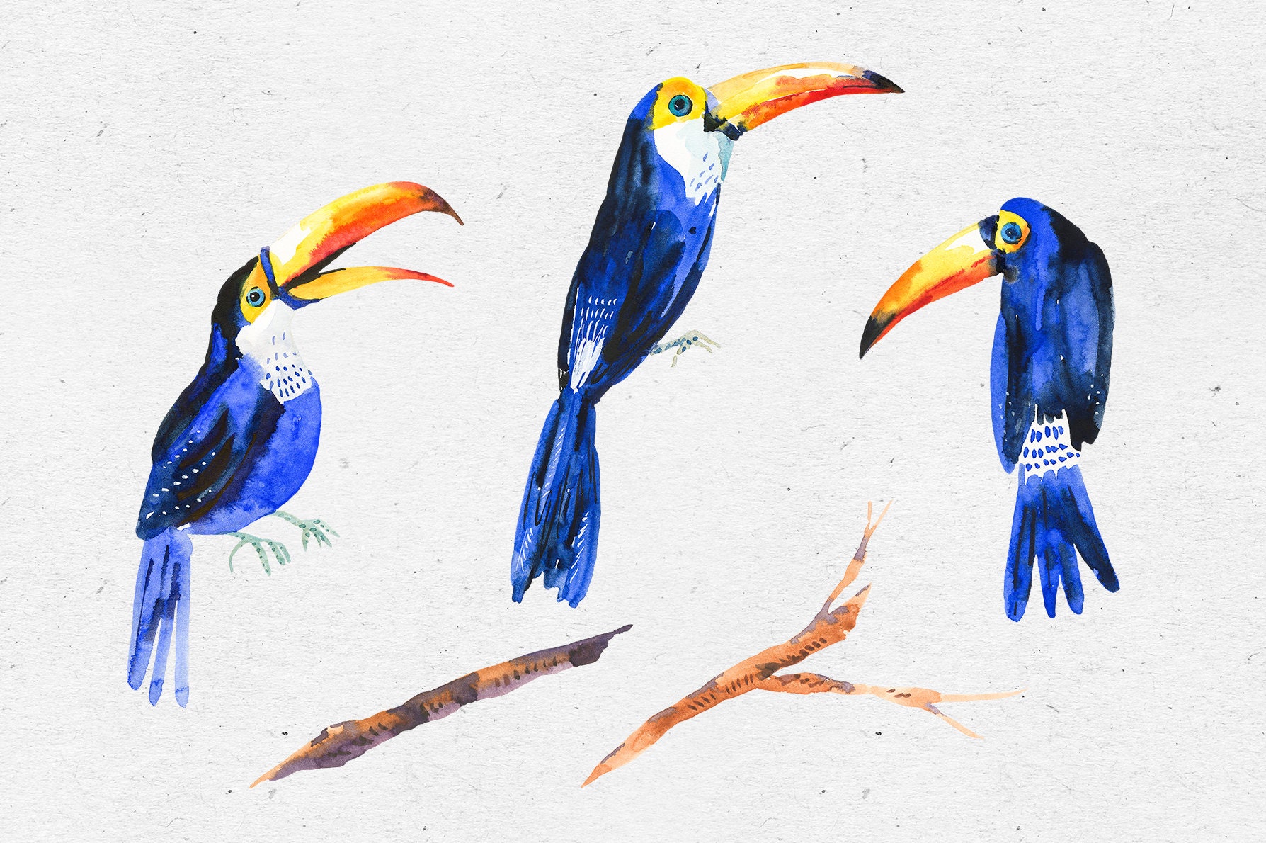 Toucan Clipart Watercolor Tropical Leaves Bird Clipart Watercolor ...