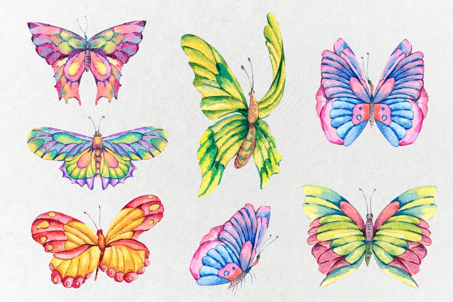 Colorful butterflies clipart. Watercolor butterfly digital | Etsy