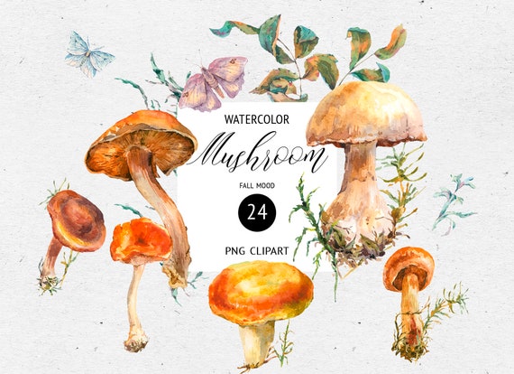Mushroom Clip Art Fall Clipart Watercolor Autumn Forest | Etsy