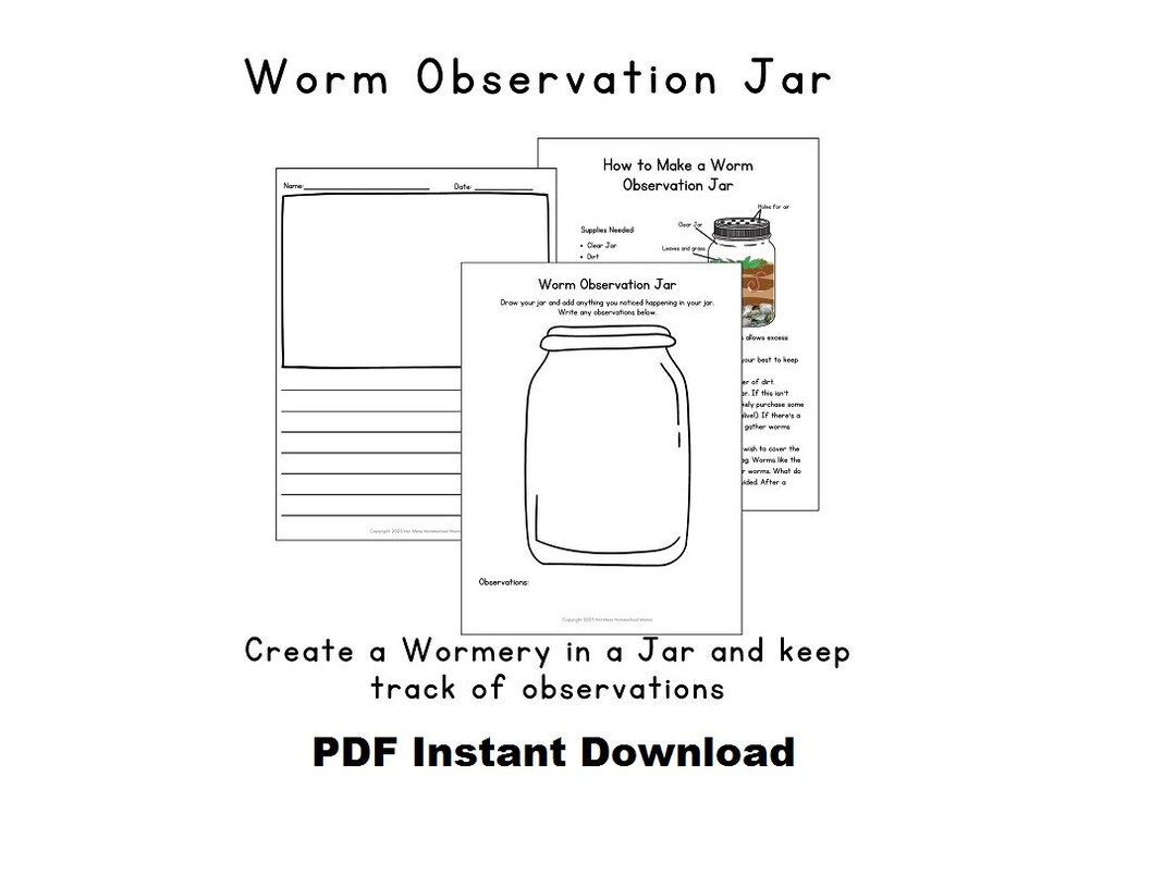 Worm Observation Jar Mini Beasts Nature Science Activity PDF Printable ...