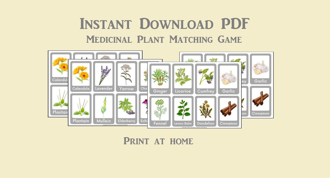 Medicinal Plants Matching Game, Memory Flash Cards, Instant Download ...