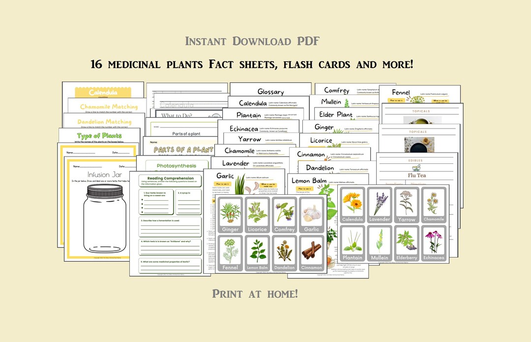 Medicinal Plants Mini Unit, Herbal Studies Digital Download PDF ...
