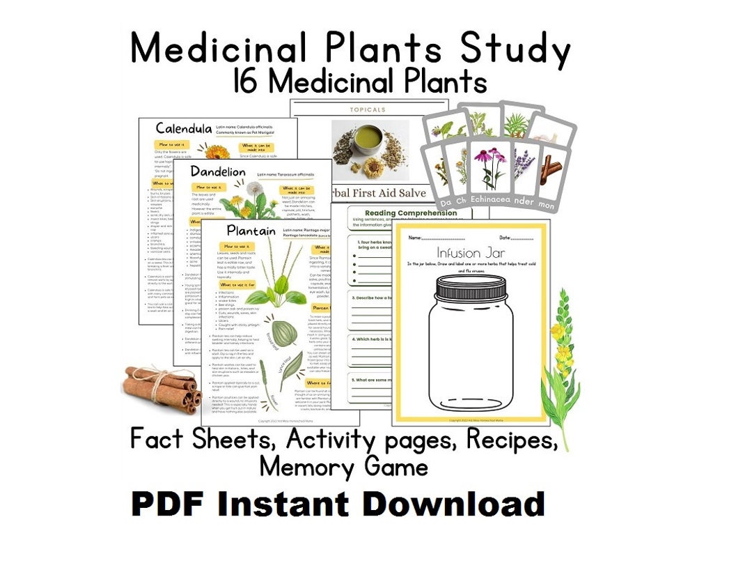 Medicinal Plants Mini Unit, Herbal Studies Digital Download PDF ...