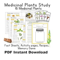 Medicinal Coloring Page, Botanical, Kids, Medicinal Herb, Homeschool ...