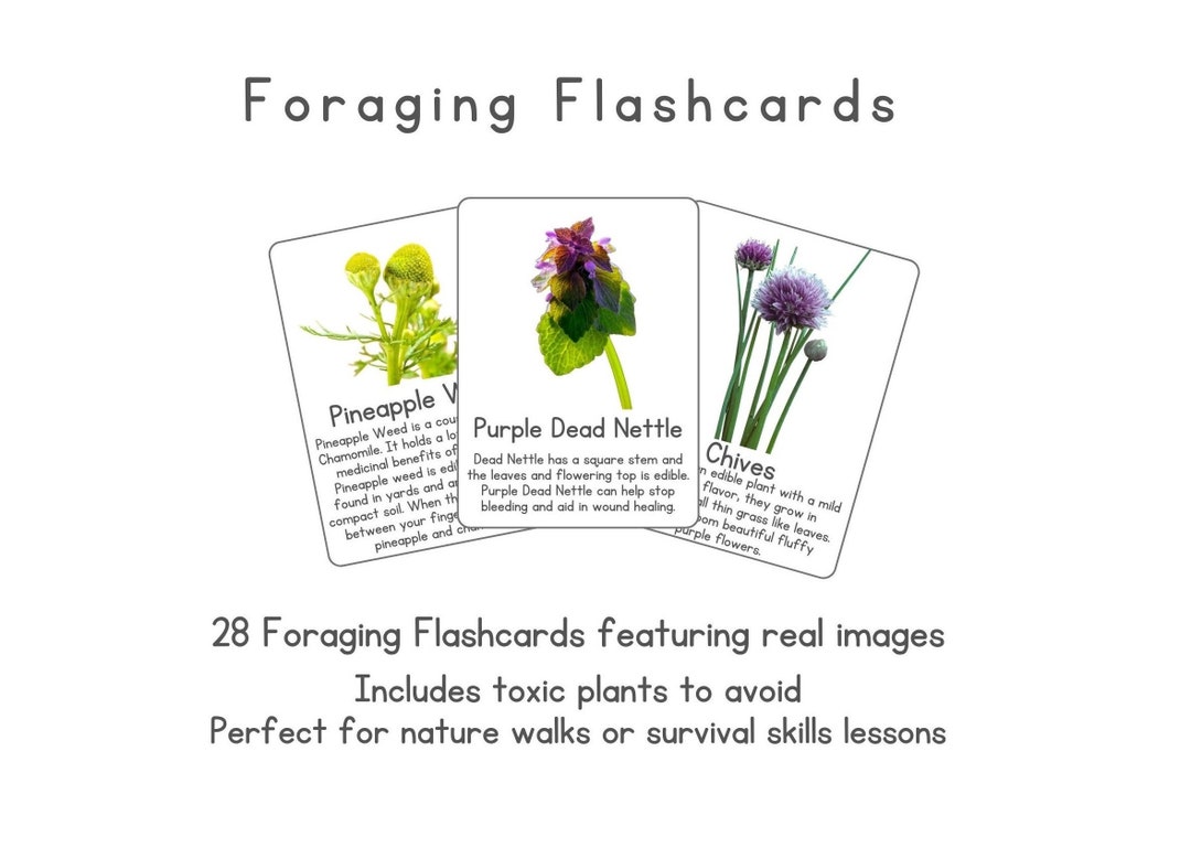 Foraging Flashcards PDF Nature School Survival Skills Herbal Studies - Etsy