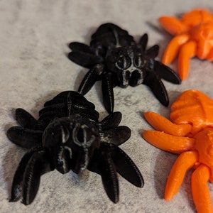 Tiny Jumping Spider by Cinderwing 3D - Etsy