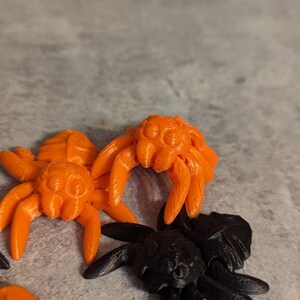 Tiny Jumping Spider by Cinderwing 3D - Etsy