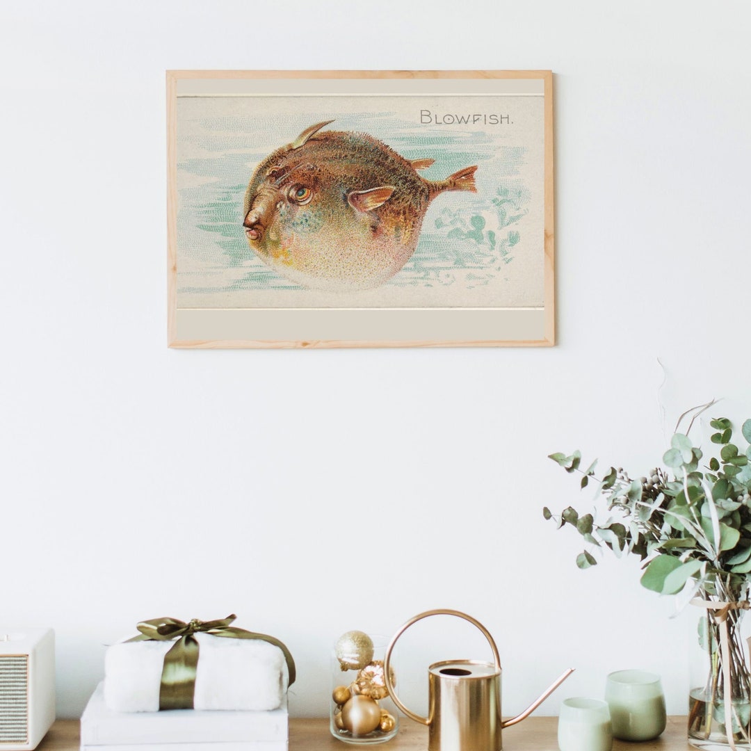 Blowfish PRINTABLE | INSTANT Digital Download | Fine Art Poster | Wall ...