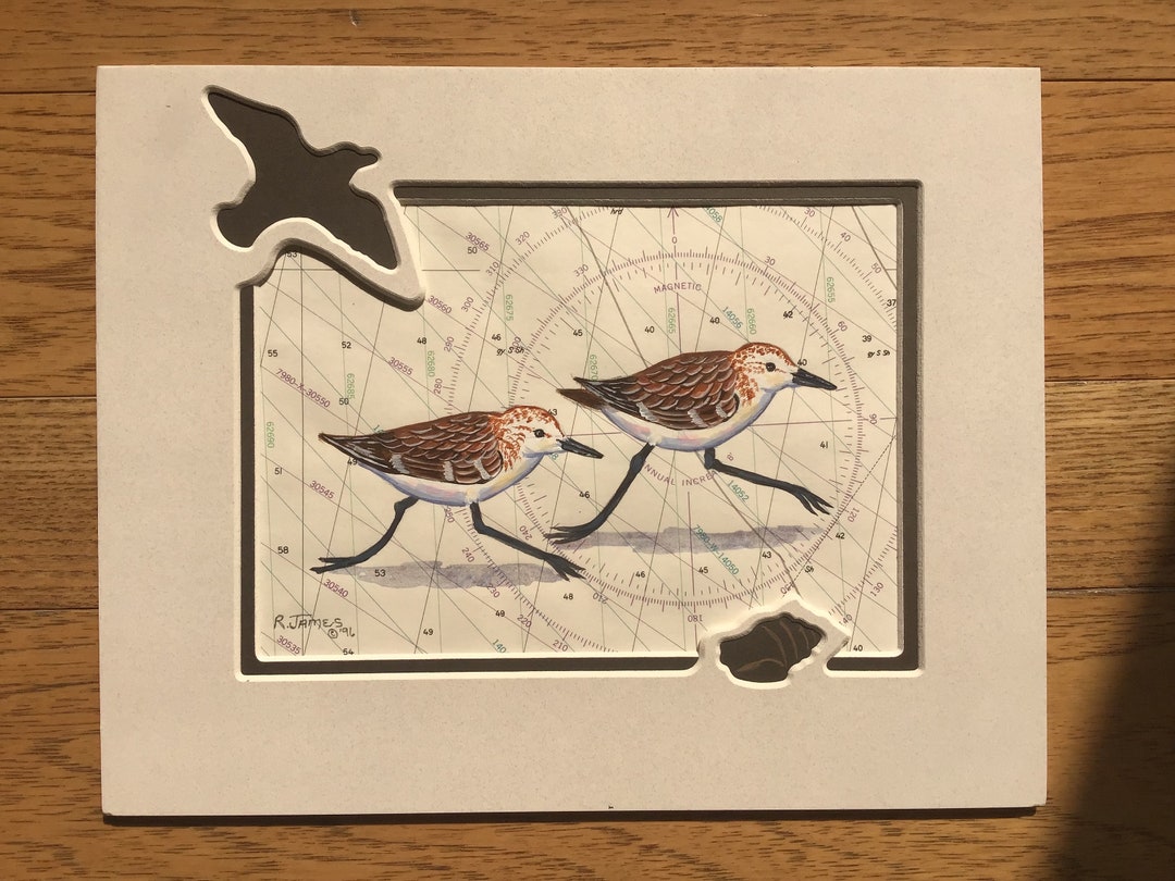 Vintage American Ruth James 1933-2021 Original Chart Art Sanderling ...