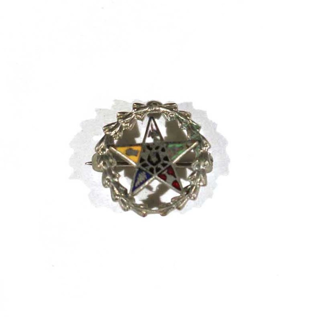 Vintage Small Eastern Star Enamel Womens Fraternal Organization Pin ...