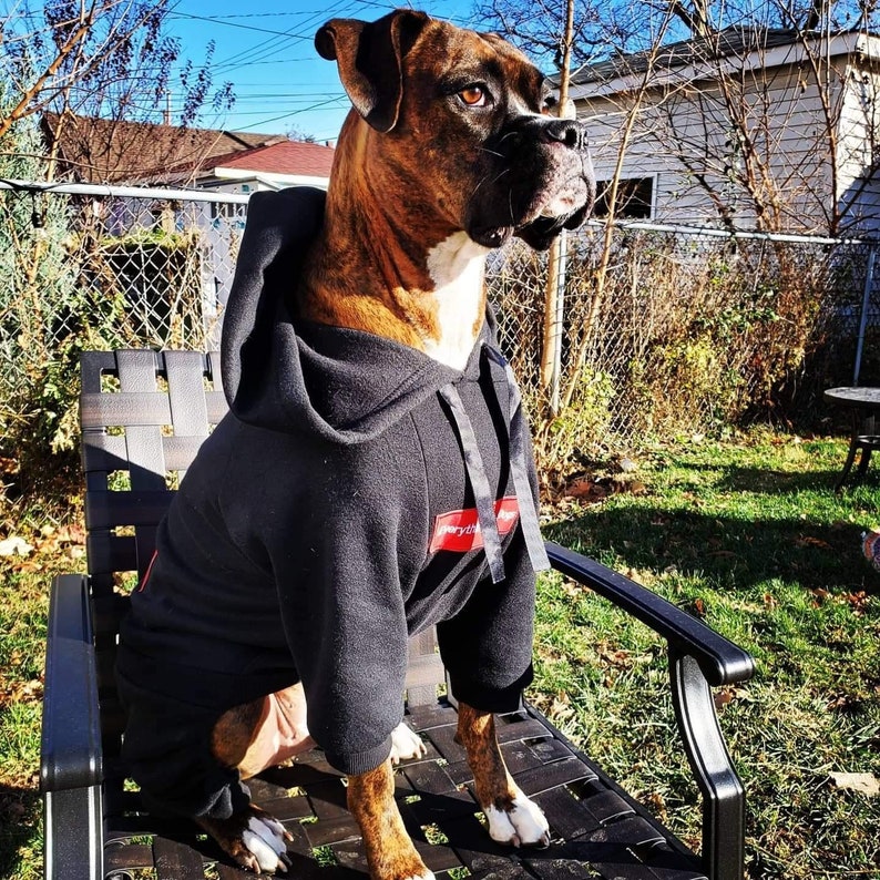 Pre-order 9/15 Famous Boxer Dog Sweatsuit 2.0 - Etsy