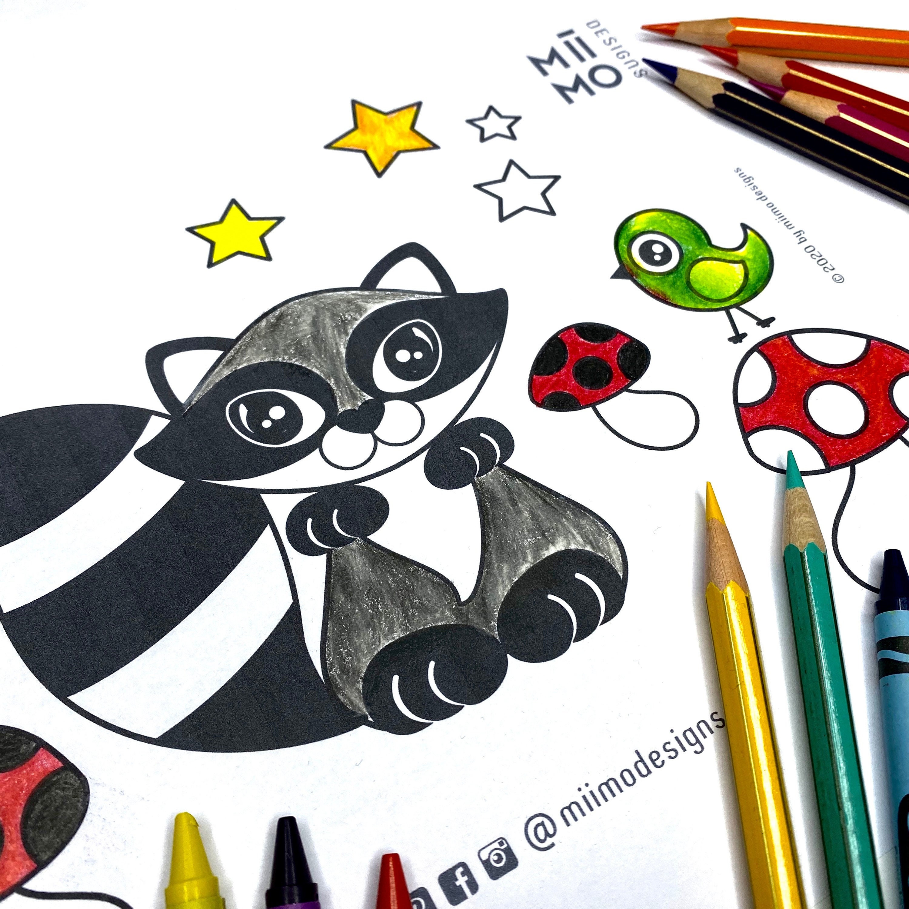 Printable Coloring Page, Raccoon Digital Download, Coloring Page for ...