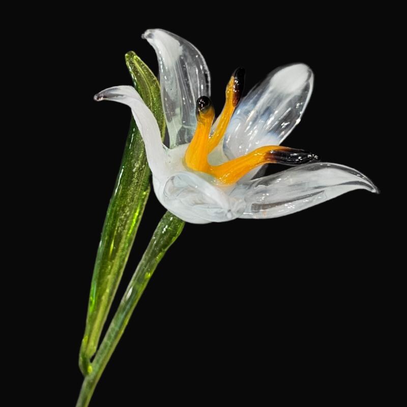 Glass Lily - Etsy