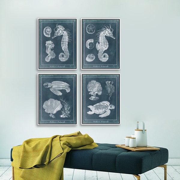 Navy Blue Turtle Art - Etsy