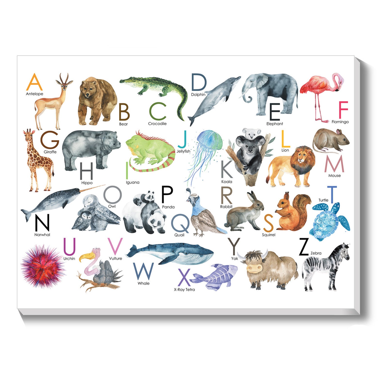 Zoo Animal Alphabet Canvas Print, Watercolor ABC Educational Poster - Etsy