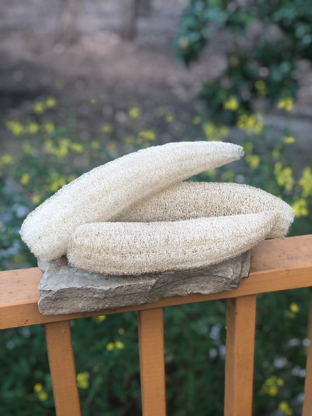 Handpicked Luffa From Central Texas / Stainable Care / - Etsy
