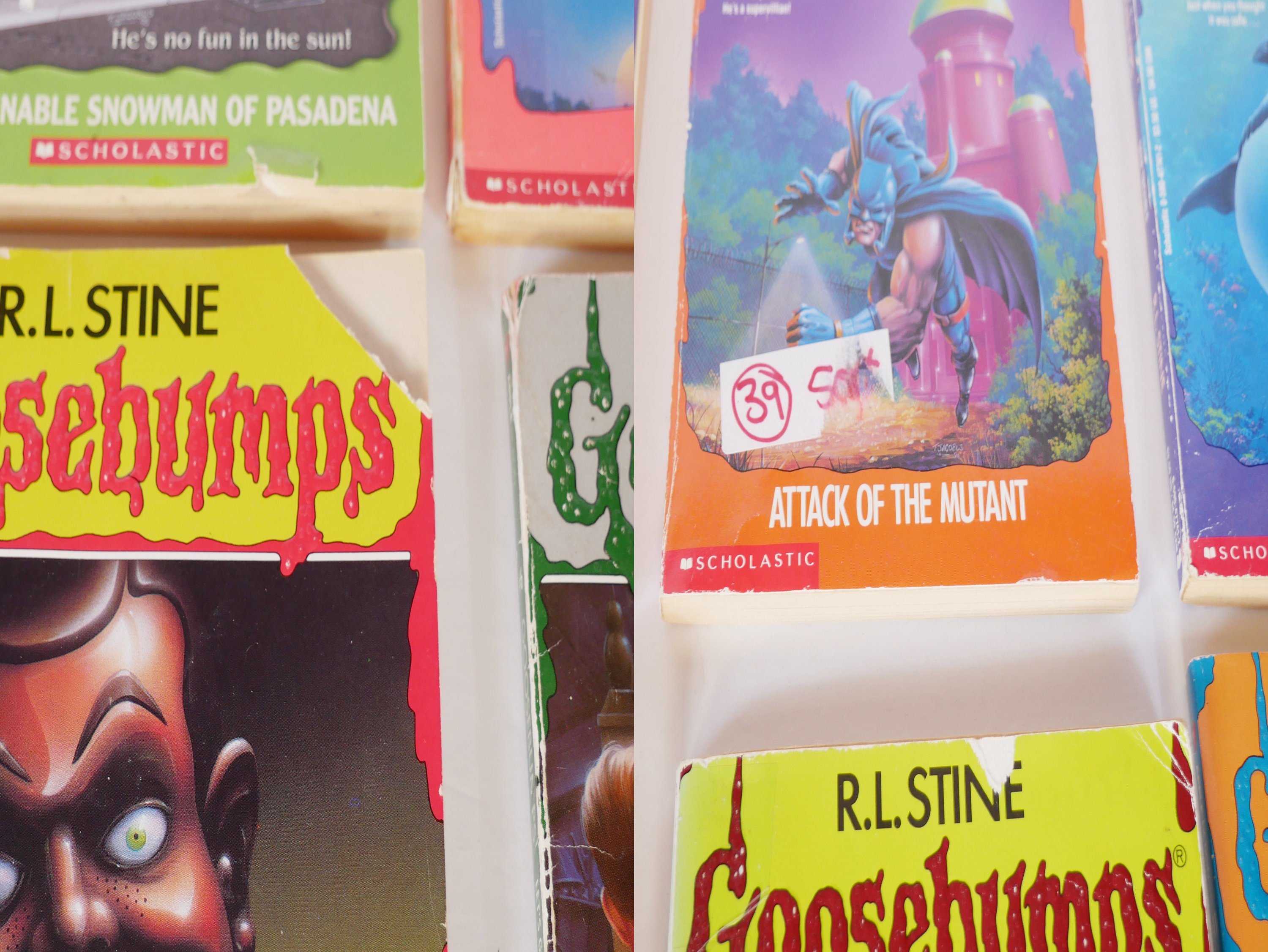 90s Goosebumps Chapter Books By R.L. Stine | Etsy